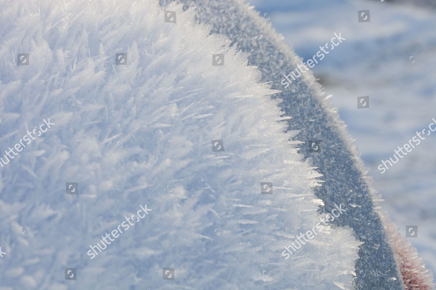 Ice Feathers Formed During Hard Frost Editorial Stock Photo - Stock ...