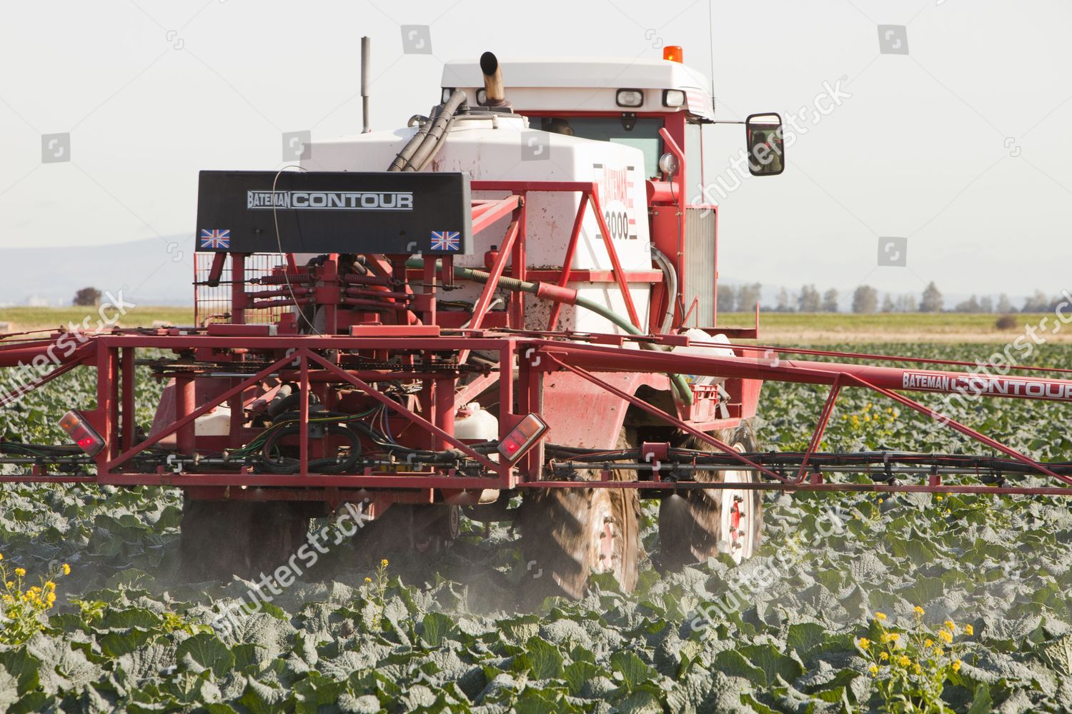 Farmer Spraying His Cabbages Pesticide Banks Editorial Stock Photo ...