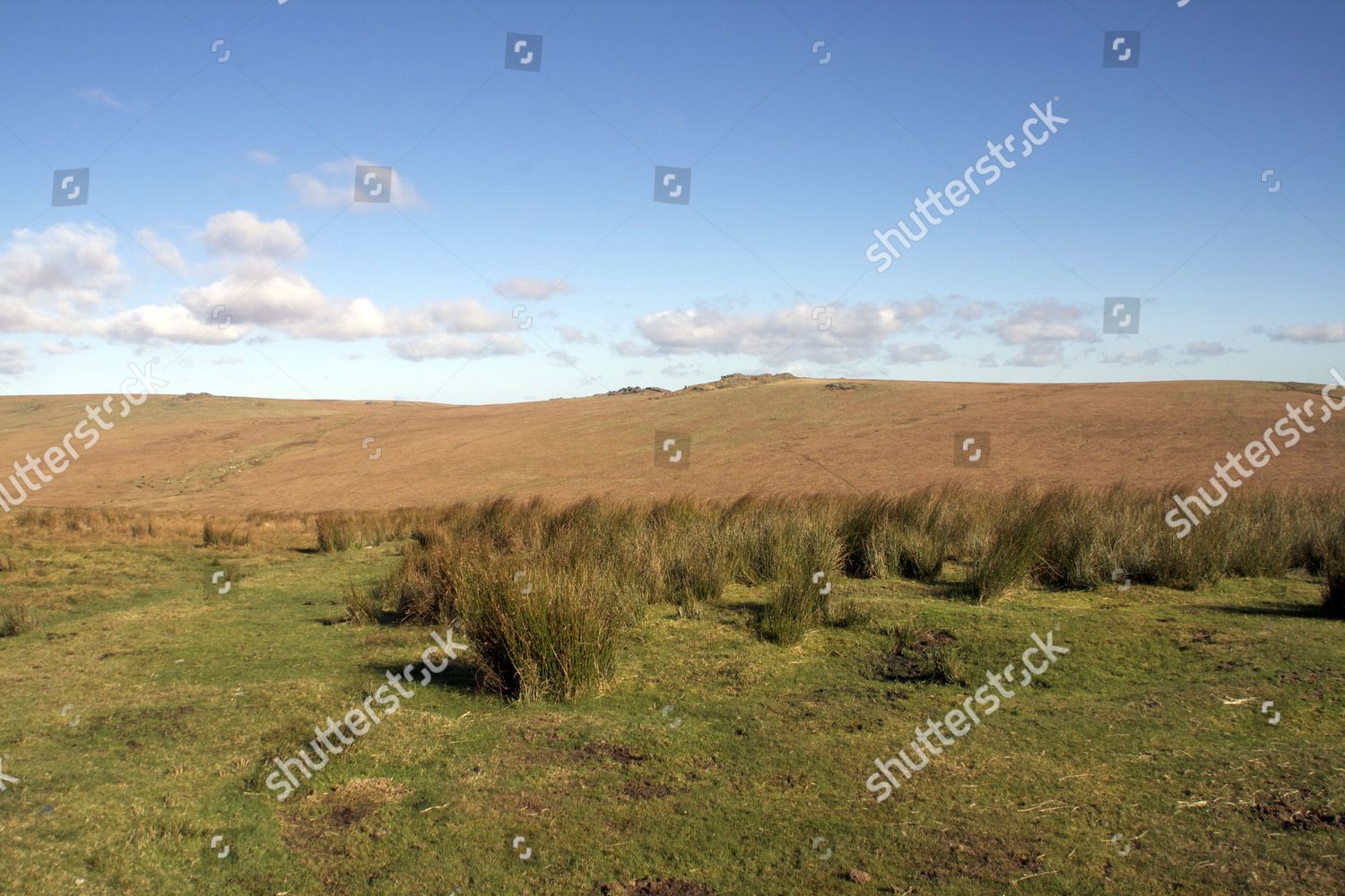Mod Firing Ranges On Dartmoor Near Editorial Stock Photo - Stock Image ...