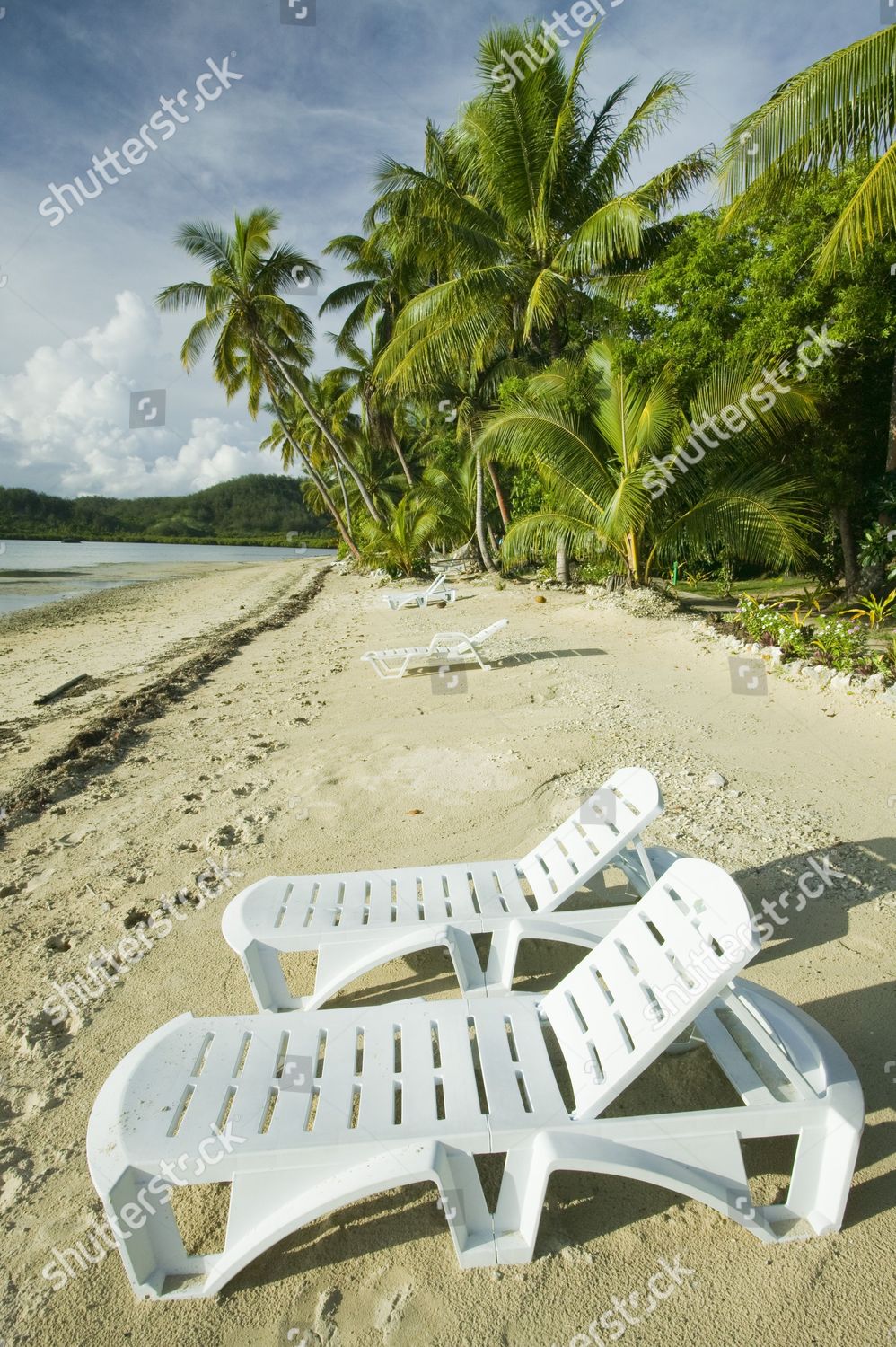 Coconut Palms Walu Beach Resort On Editorial Stock Photo - Stock Image ...
