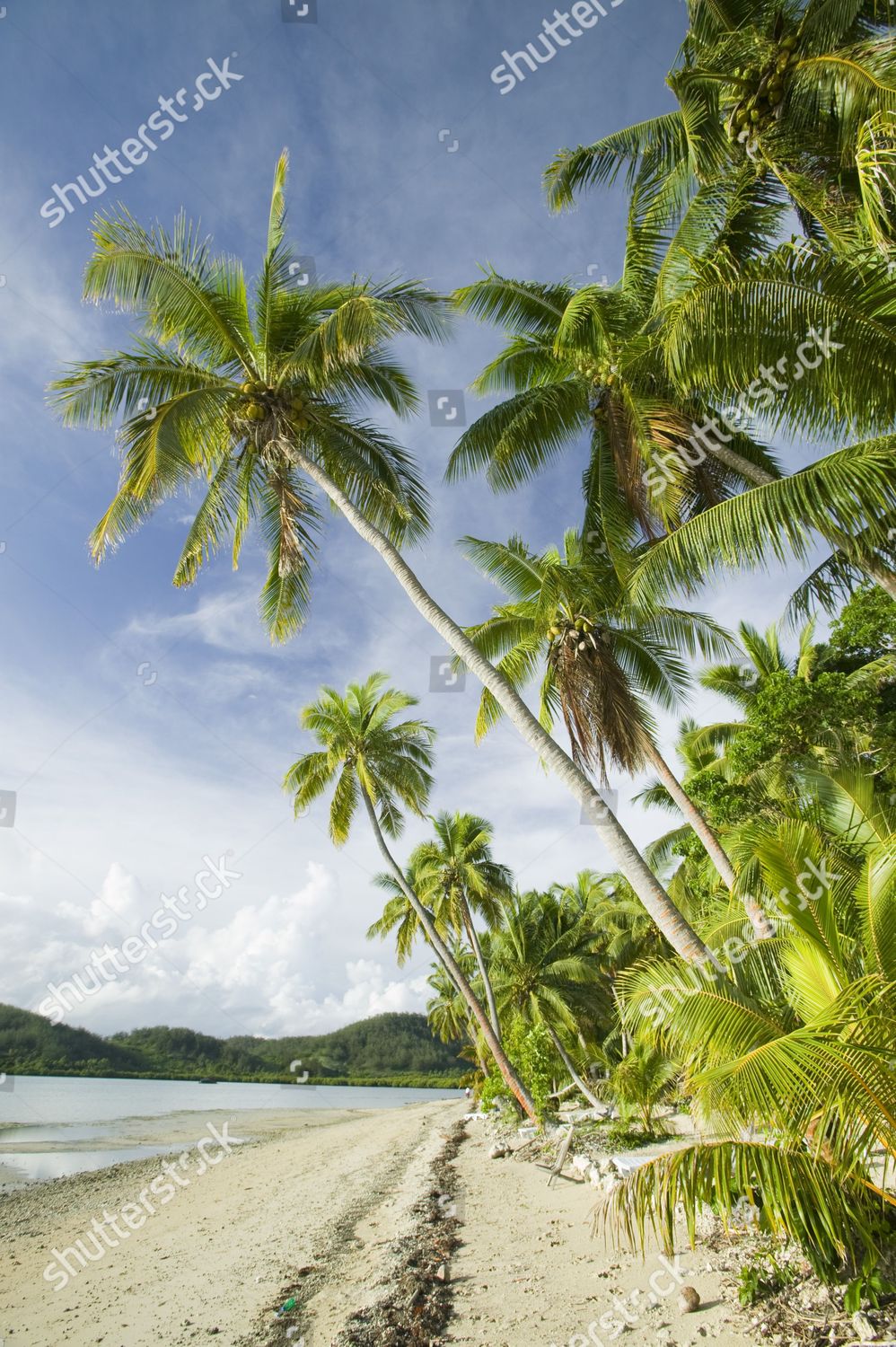 Coconut Palms Walu Beach Resort On Editorial Stock Photo - Stock Image ...