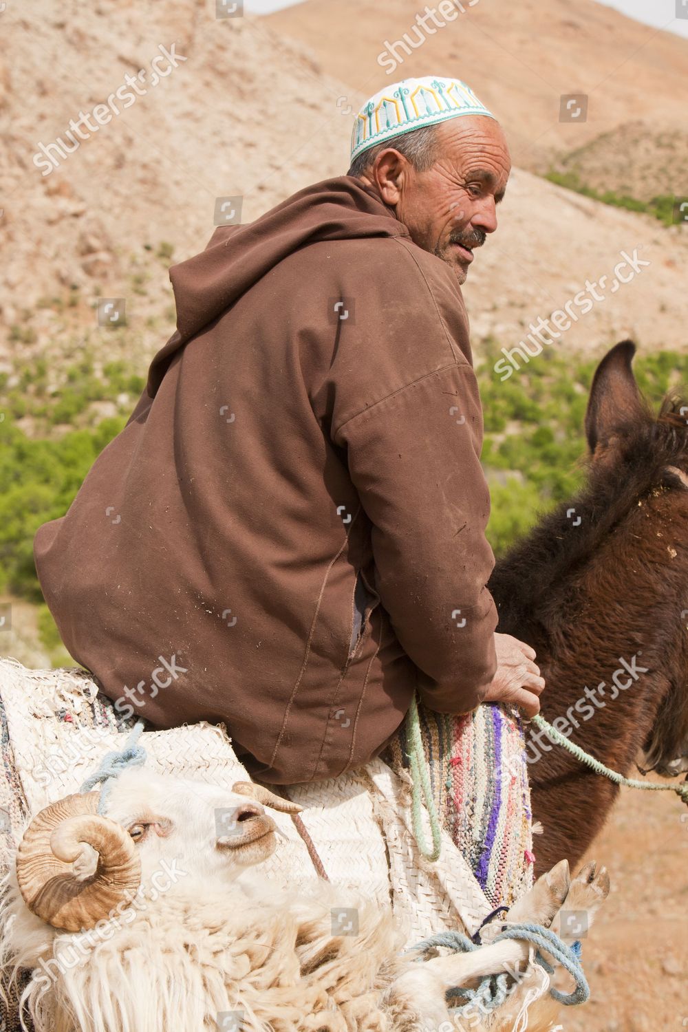 Mule Loaded His Owner Berber Arab Editorial Stock Photo - Stock Image ...