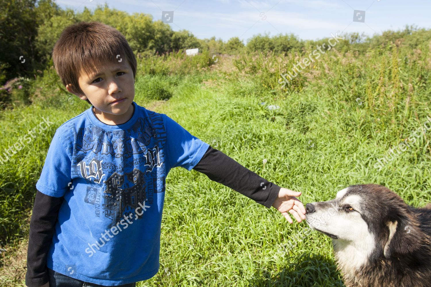 Young First Nation Boy Sled Dog Editorial Stock Photo - Stock Image ...