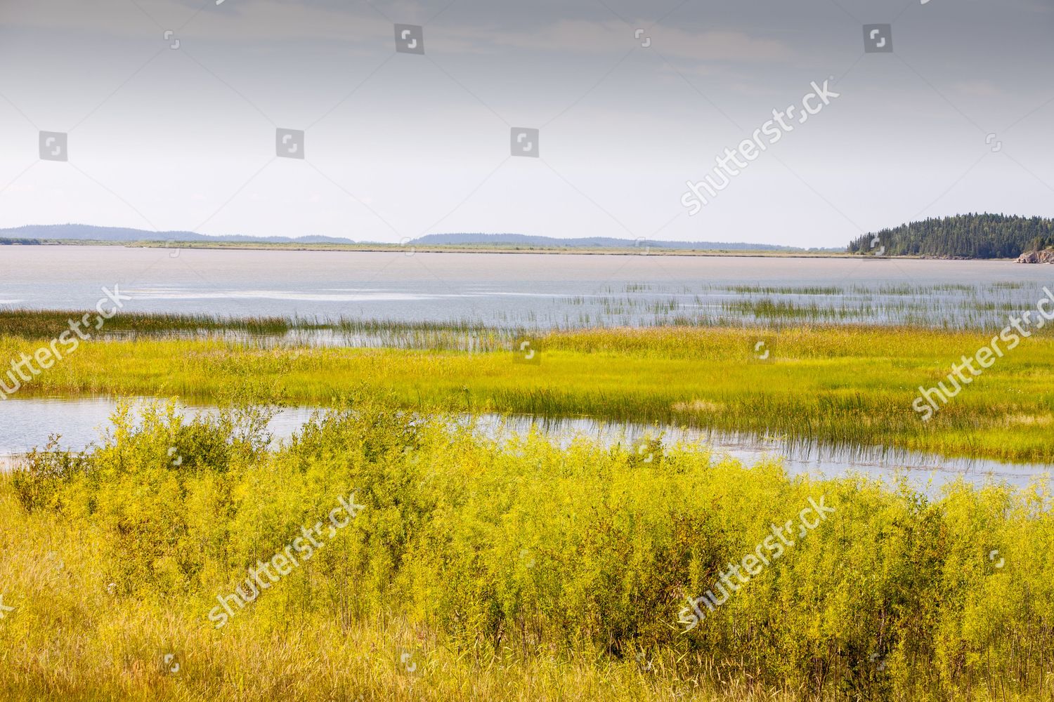 Lake Athabasca Fort Chipewyan Downstream Tar Editorial Stock Photo ...