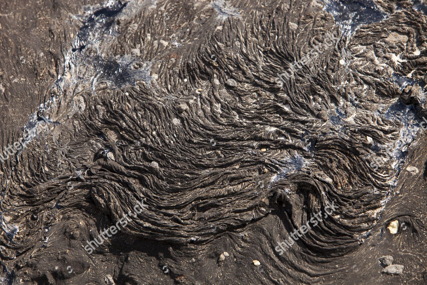 Bitumen Tar Sands Leaching Out Road Editorial Stock Photo - Stock Image ...