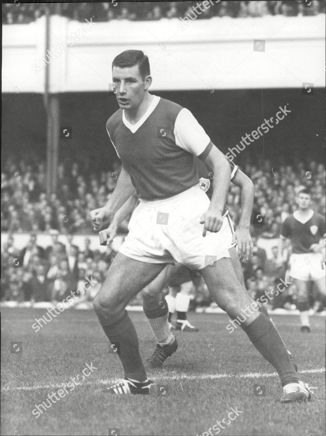 Terry Neill Arsenal Northern Ireland Footballer Editorial Stock Photo ...