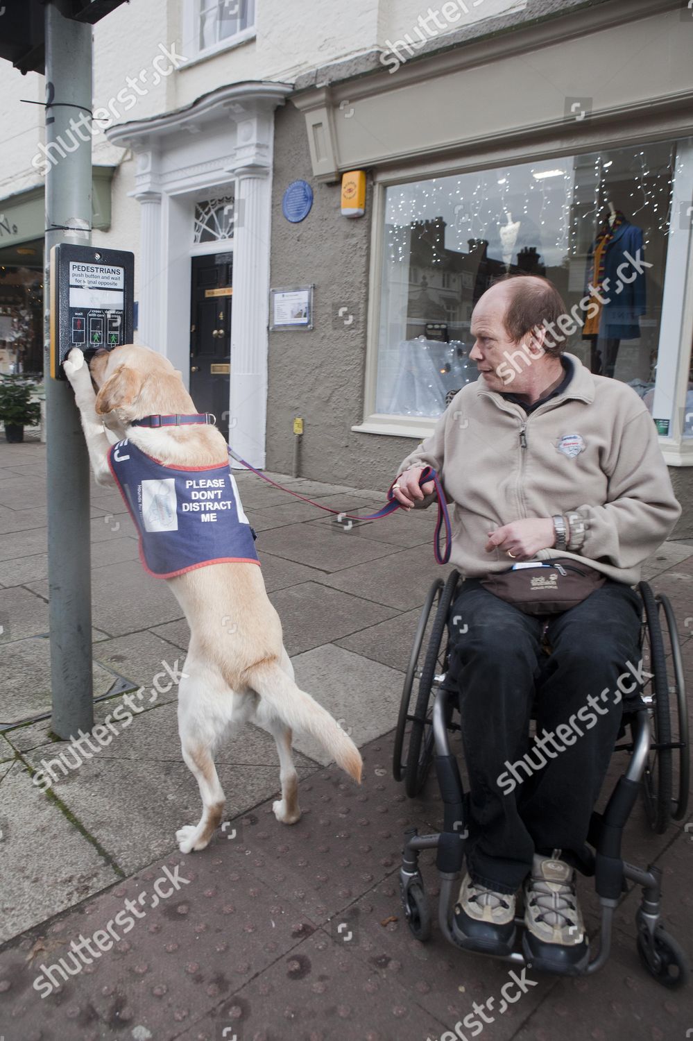 Allen Parton Ej Hounds Heroes Pedestrian Editorial Stock Photo - Stock ...