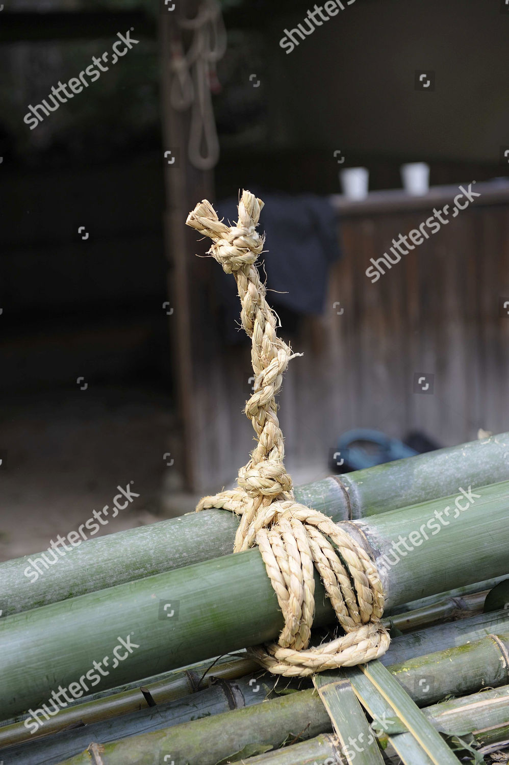 Ritual Artistic Knot On Bamboo Stems Editorial Stock Photo - Stock ...