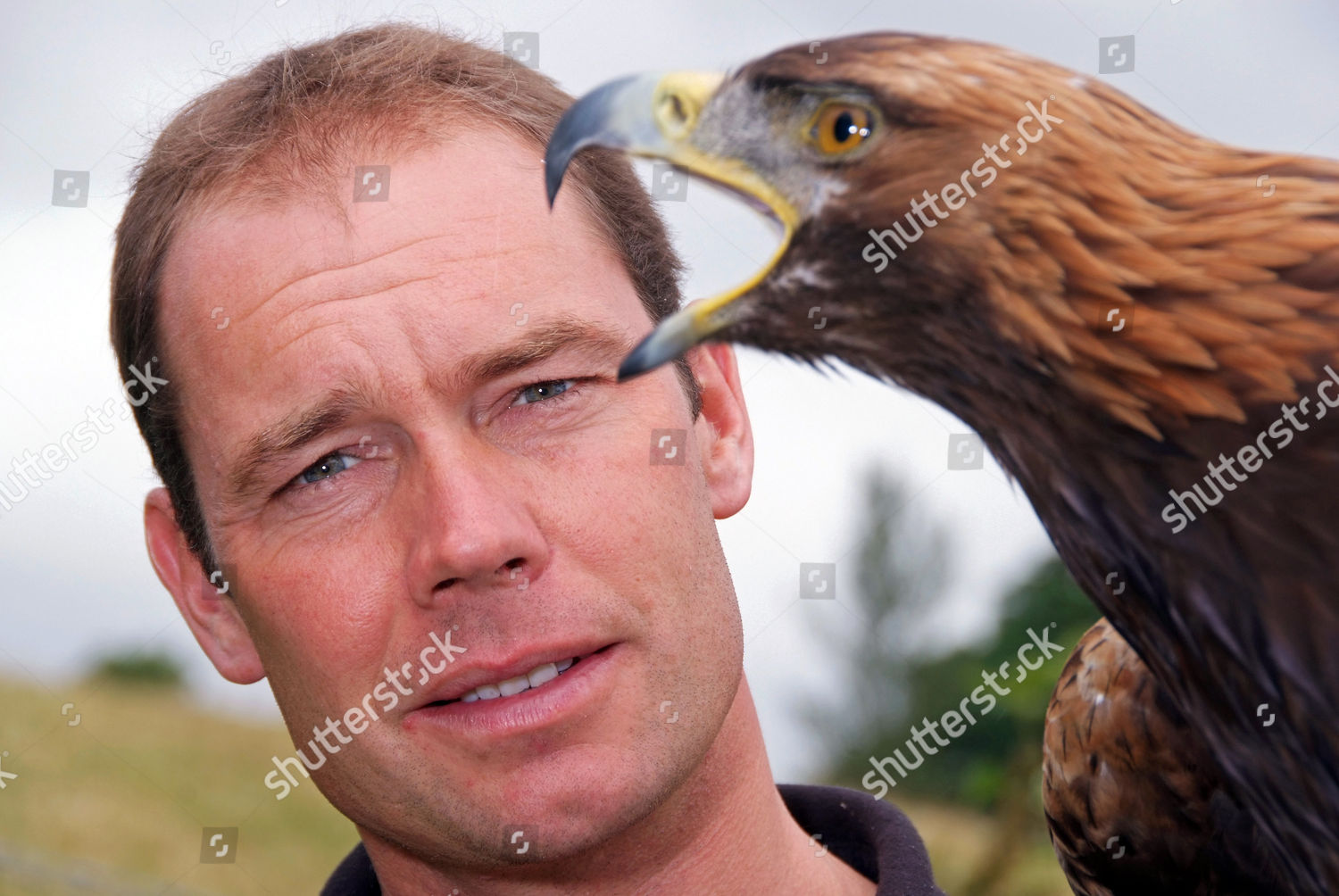 Falconer Jonathan Marshall Golden Eagle Editorial Stock Photo - Stock Image | Shutterstock