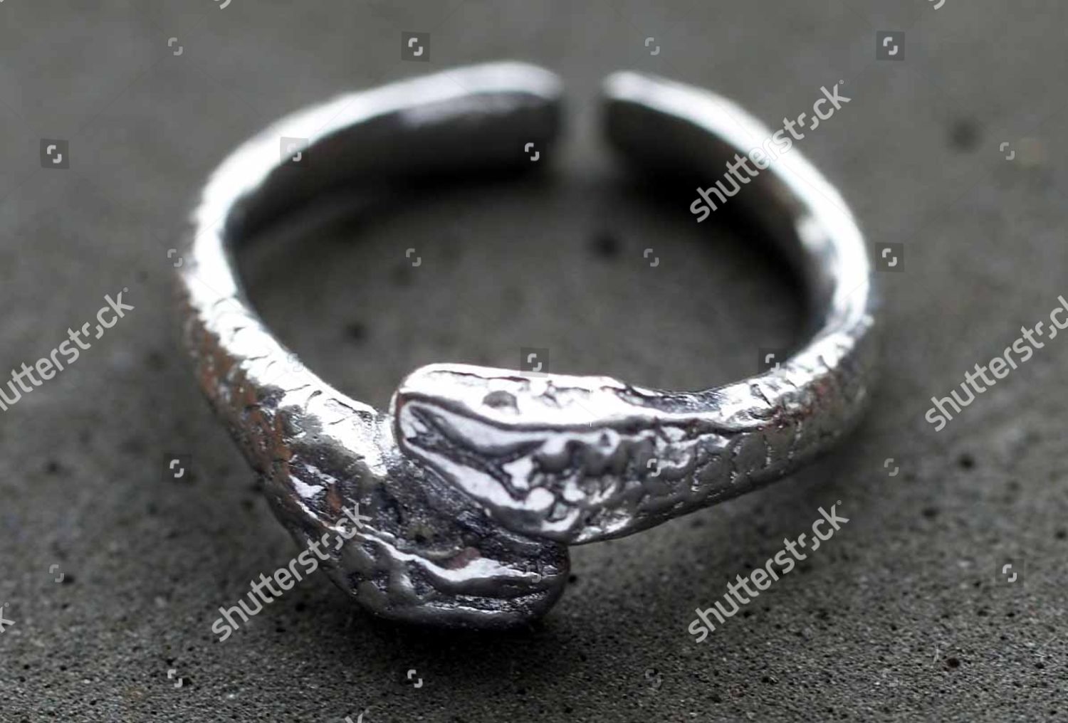 Roman Snake Ring Exhibition Showing What Editorial Stock Photo - Stock ...