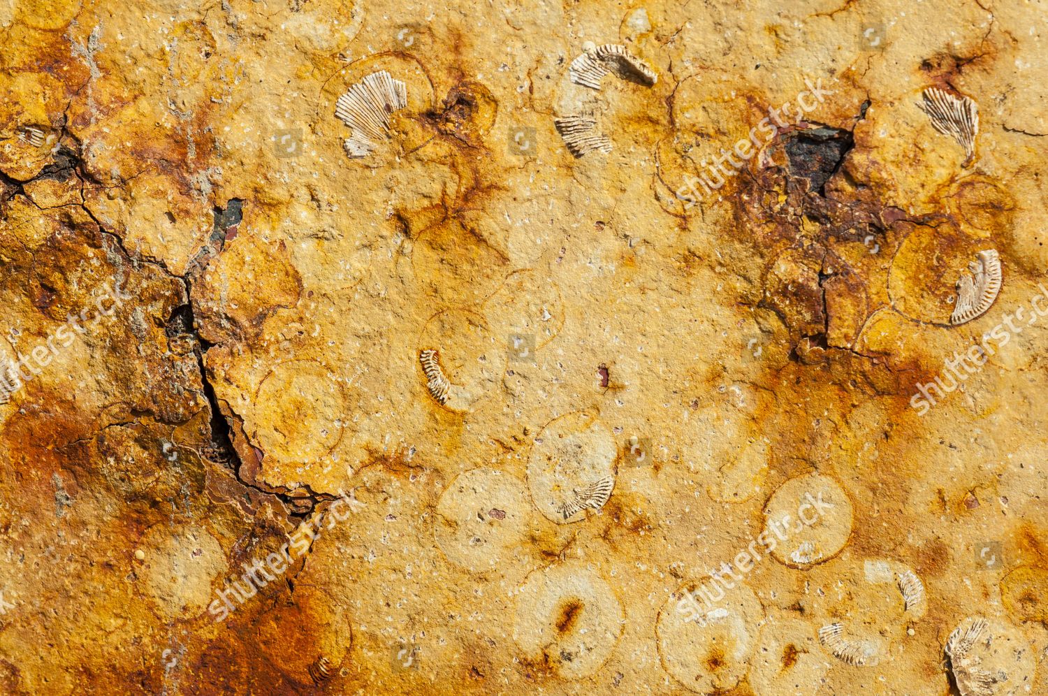 Metal Surface Rust Remains Paint Detailed Editorial Stock Photo - Stock ...