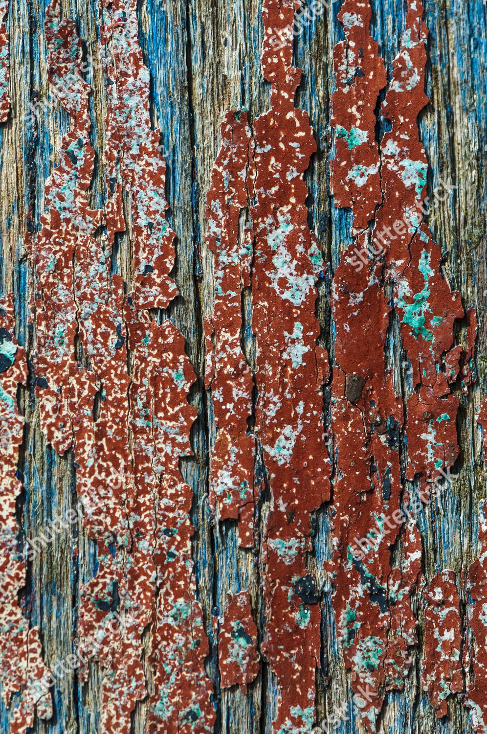 Wood Paint Coming Off Flakes Editorial Stock Photo - Stock Image ...