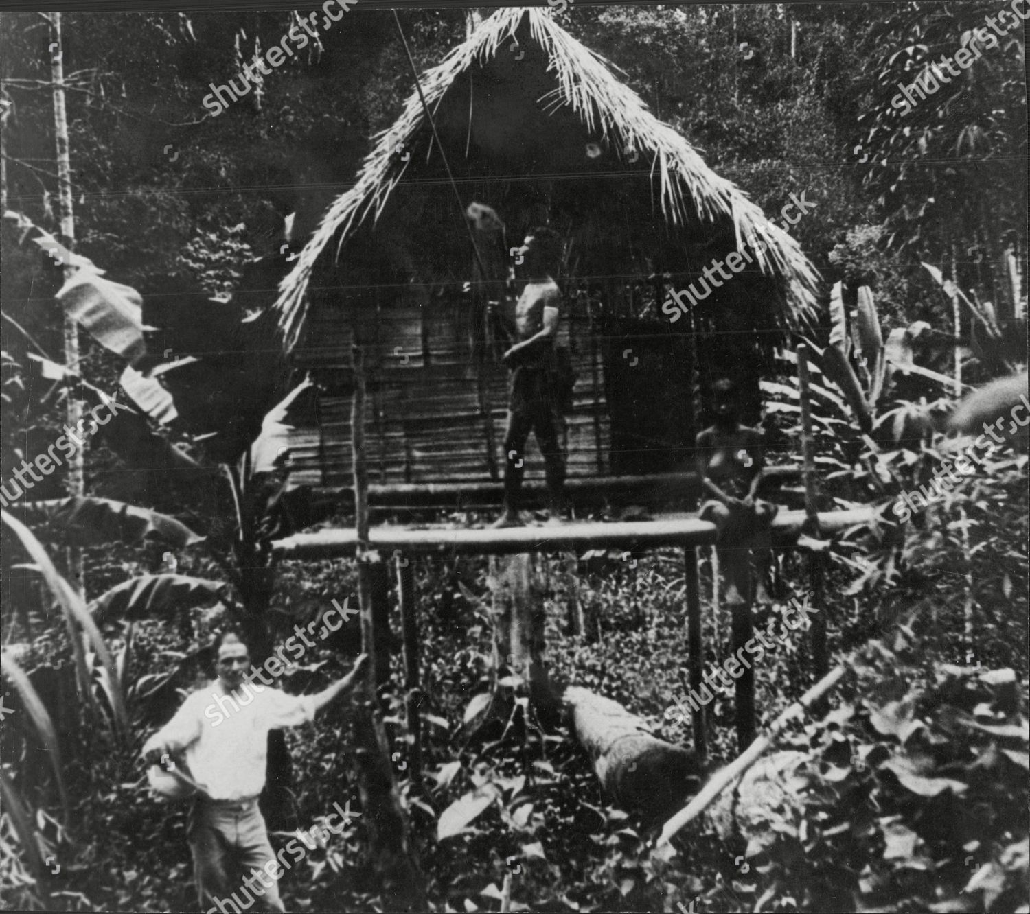 Jungle Tribes Malaya Federation Malaya Malay Editorial Stock Photo ...