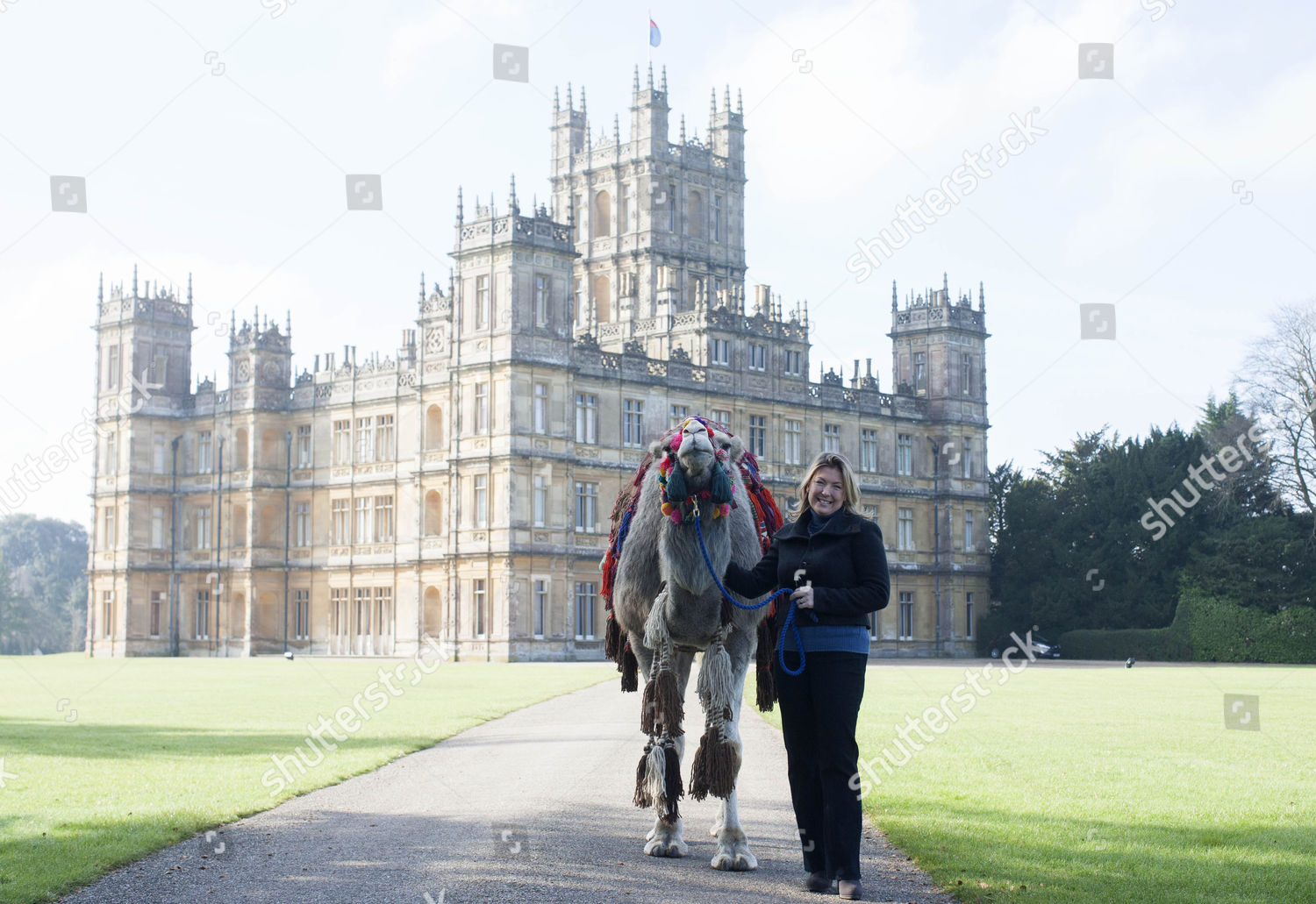 Countess Carnarvon Posses Camel Highclere Castle Editorial Stock Photo ...