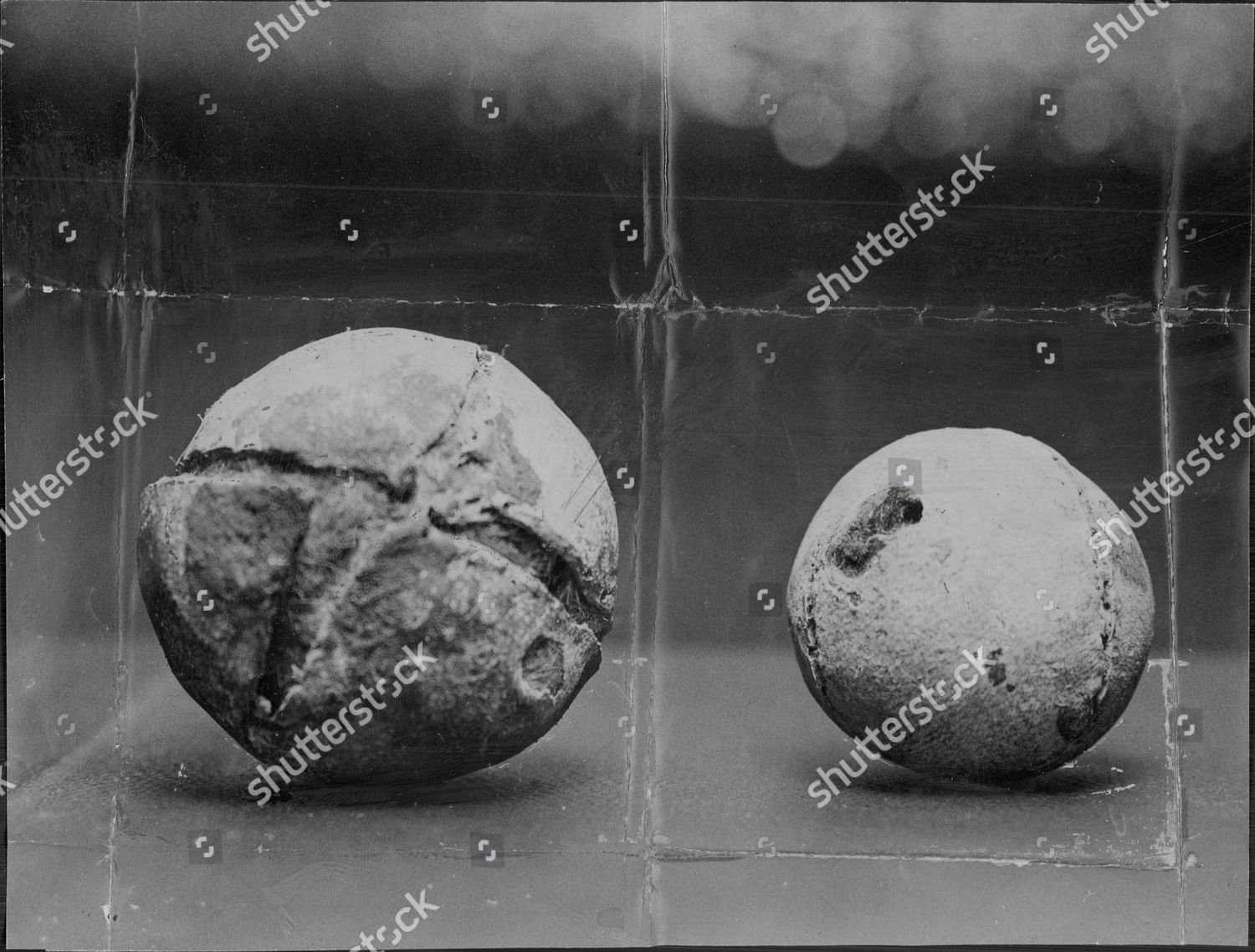 Tudor Tennis Ball Found By Workmen Editorial Stock Photo - Stock Image ...