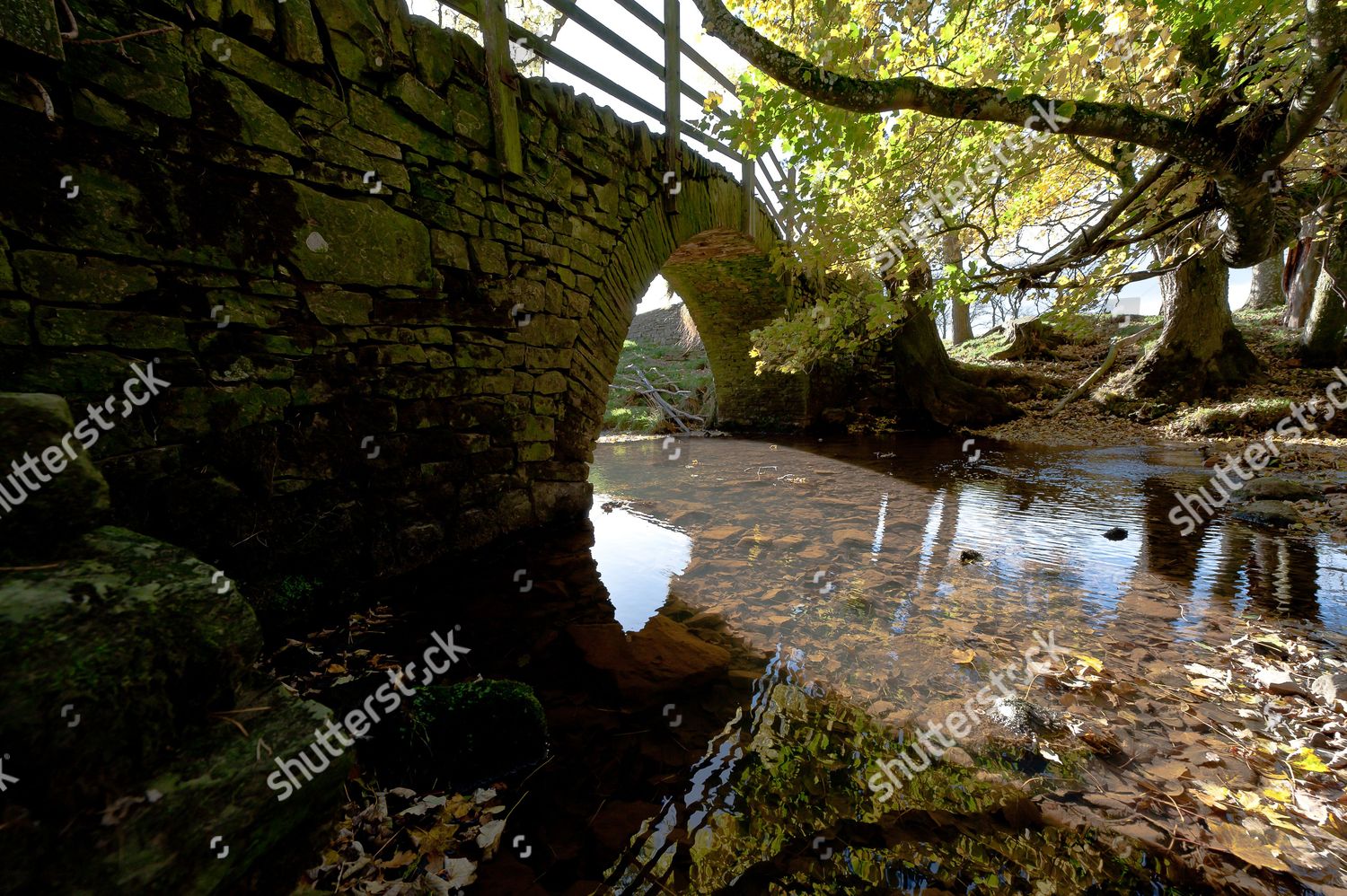 Packhorse Bridge Over Stream Wensleydale Yorkshire Editorial Stock ...