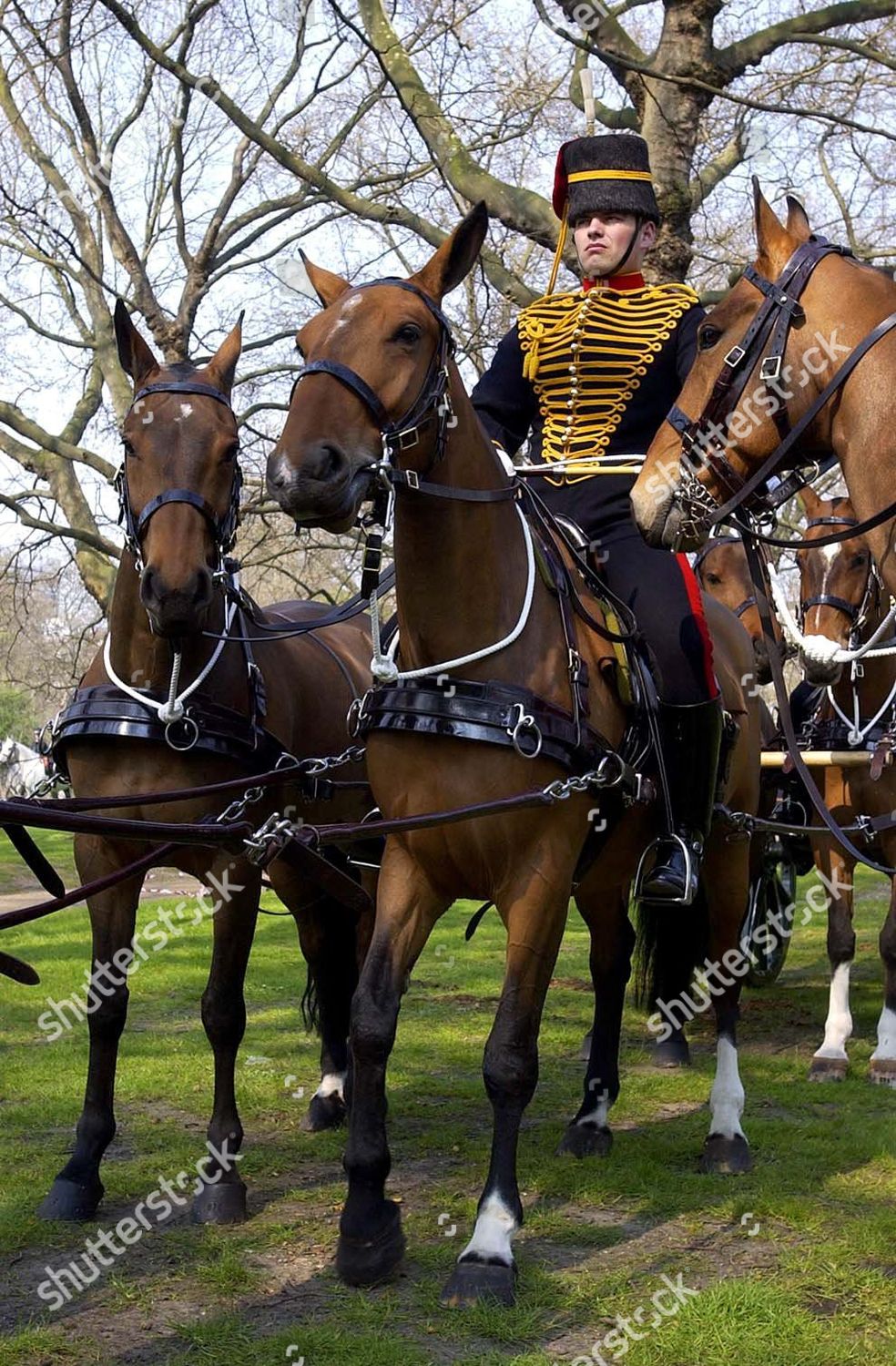 Gunner Steven Flint Kings Troop Royal Editorial Stock Photo - Stock ...