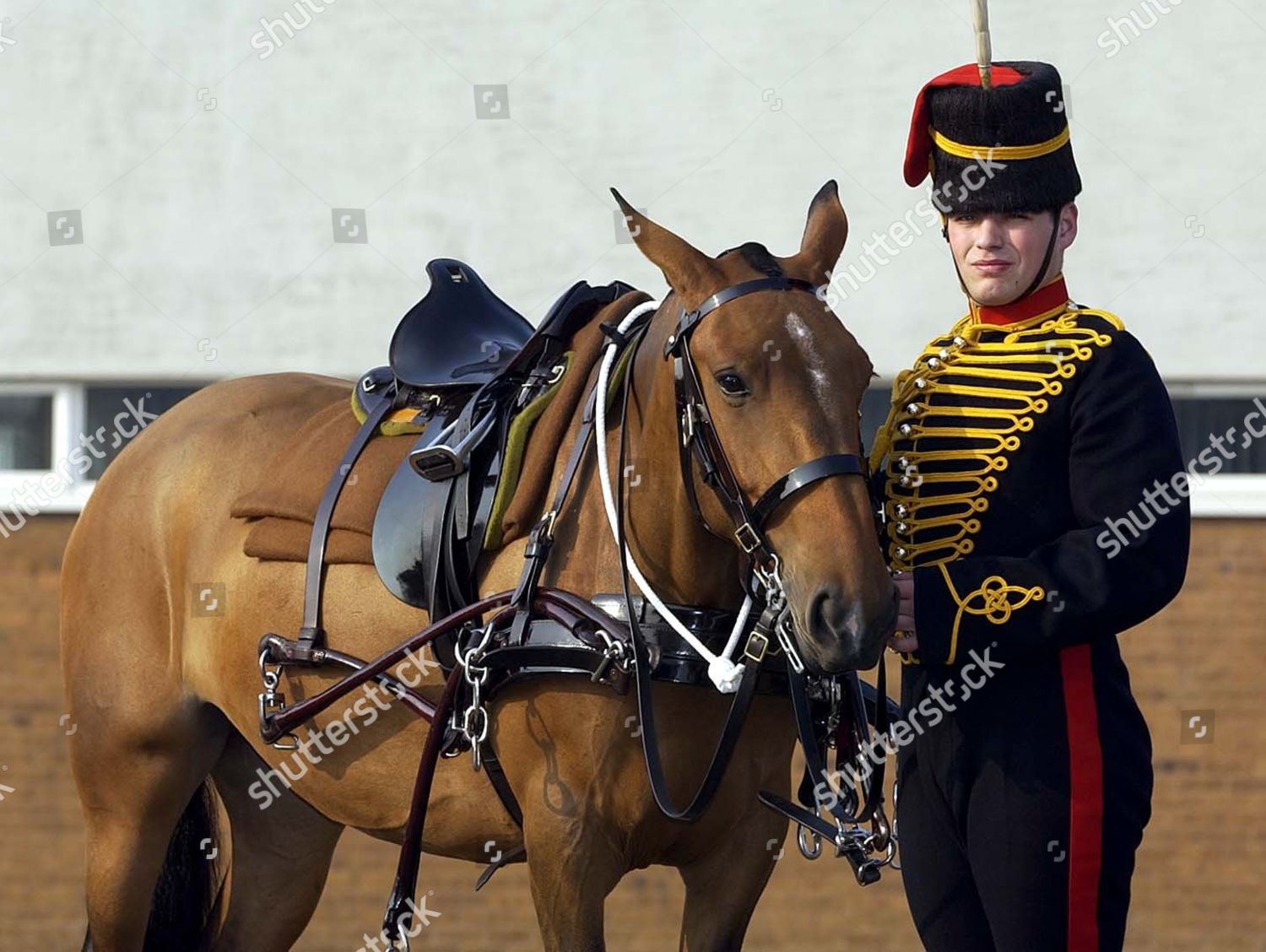 Gunner Steven Flint Kings Troop Royal Editorial Stock Photo - Stock ...