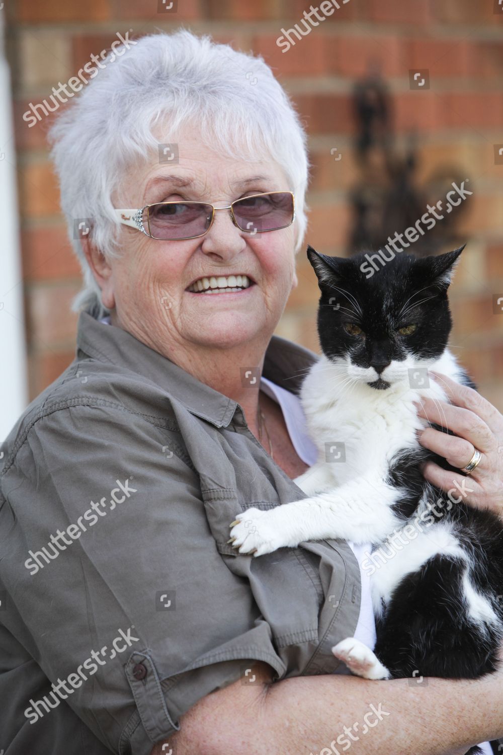 Oldest Living Cat Wadsworth Aka Waddy Editorial Stock Photo - Stock ...