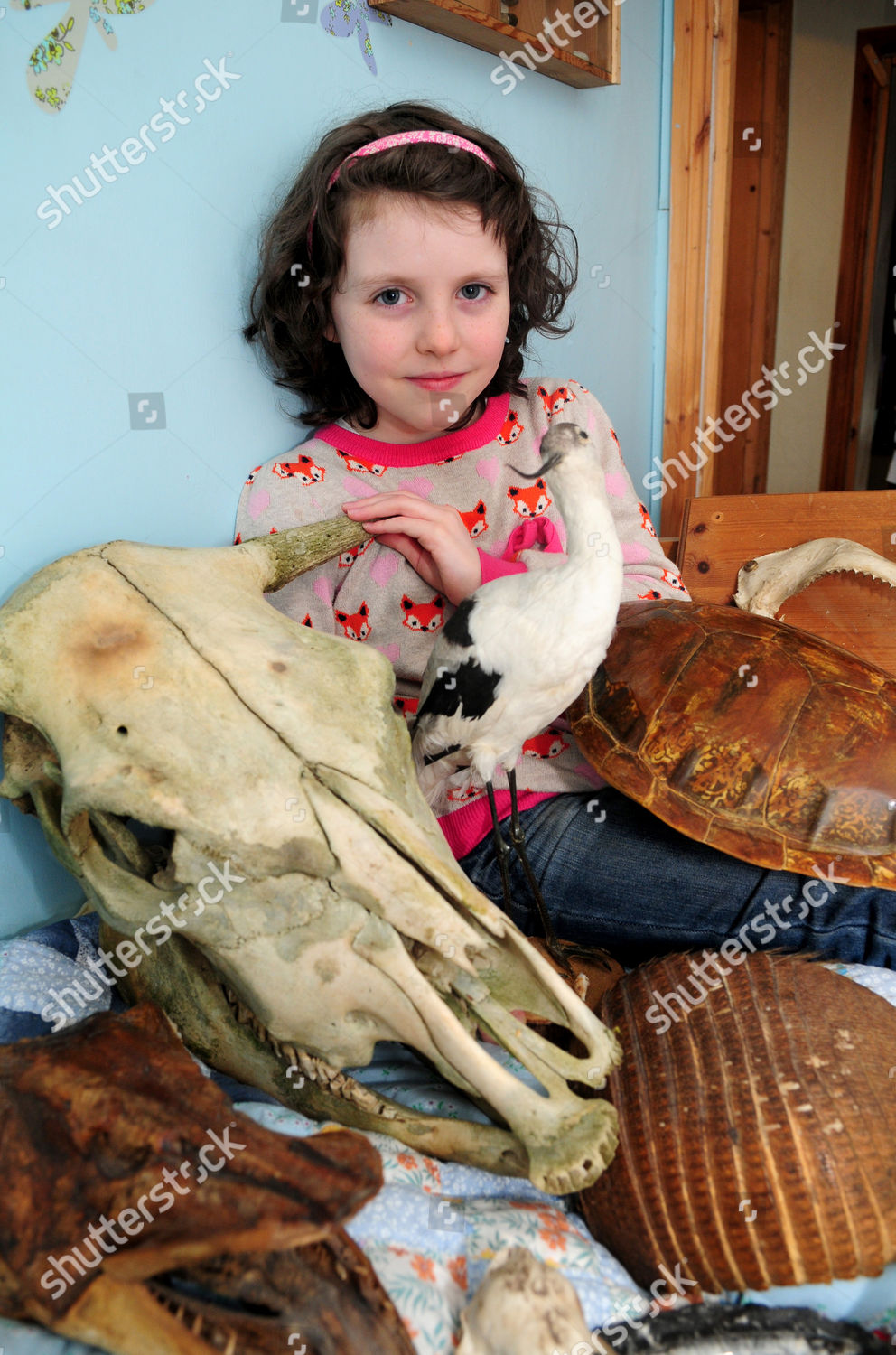 Daisy Morris Her Collection Fossils Stuffed Editorial Stock Photo ...