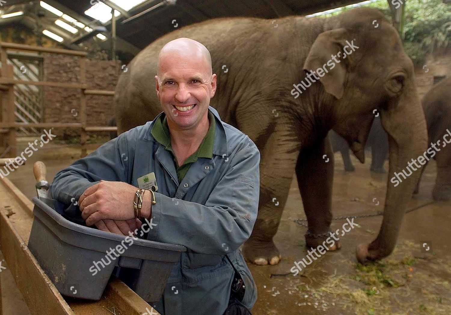 Chester Zoo Feature Specialist Elepant Keeper Editorial Stock Photo ...