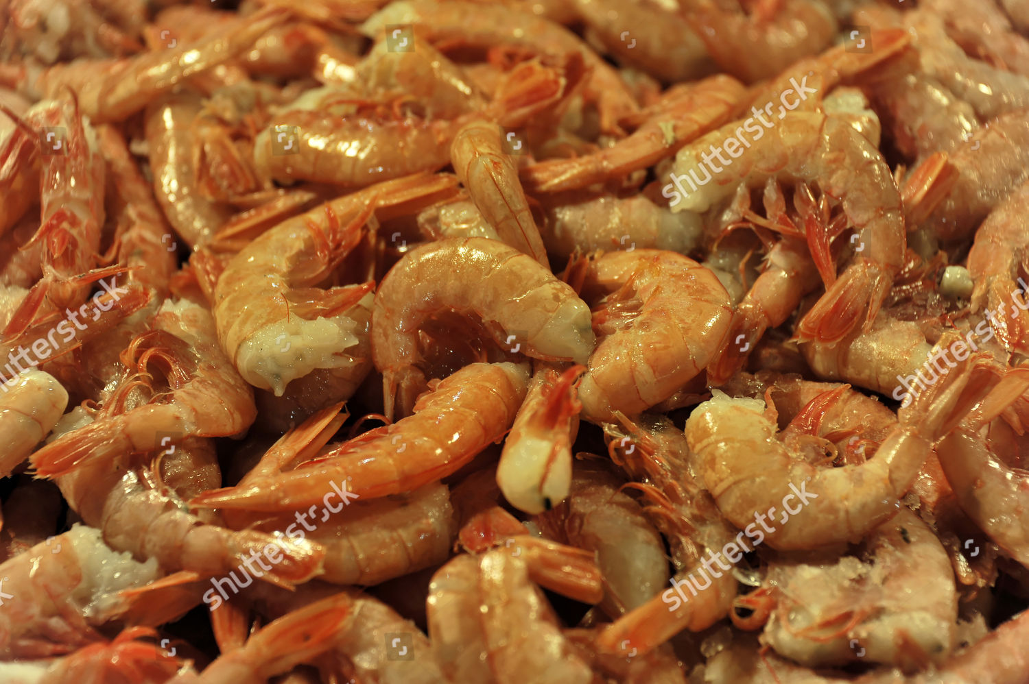 Scampi Seafood Fish Market Campo De Editorial Stock Photo - Stock Image ...