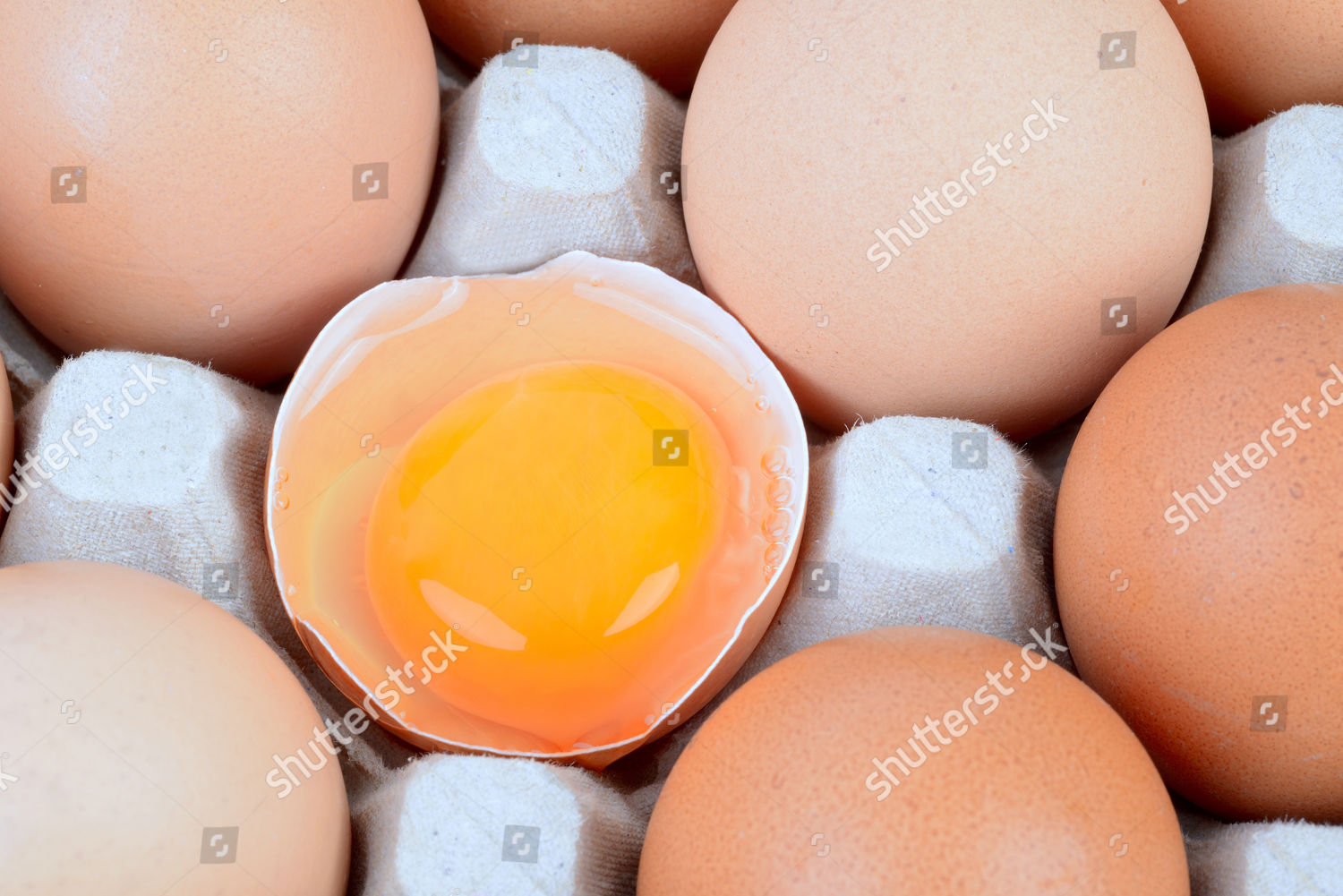 Single Egg Broken Open Between Other Editorial Stock Photo - Stock ...