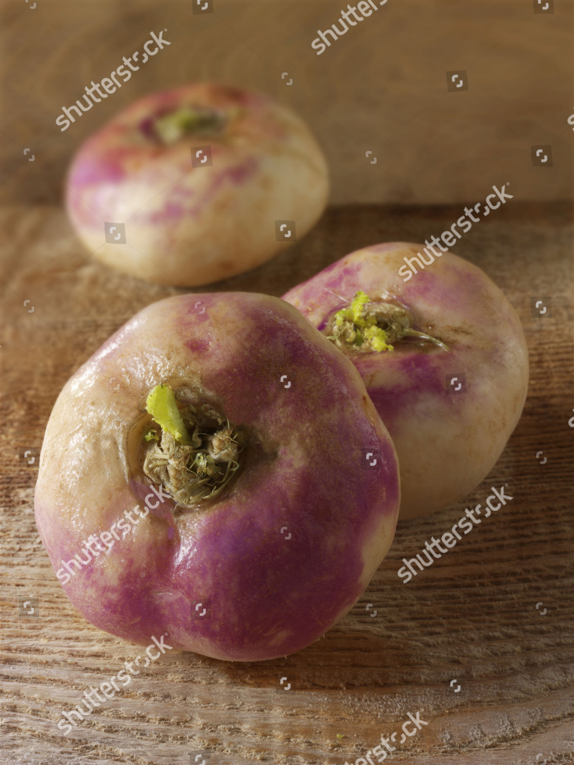 Fresh Whole Turnips Brassica Rapa Subsp Editorial Stock Photo - Stock ...