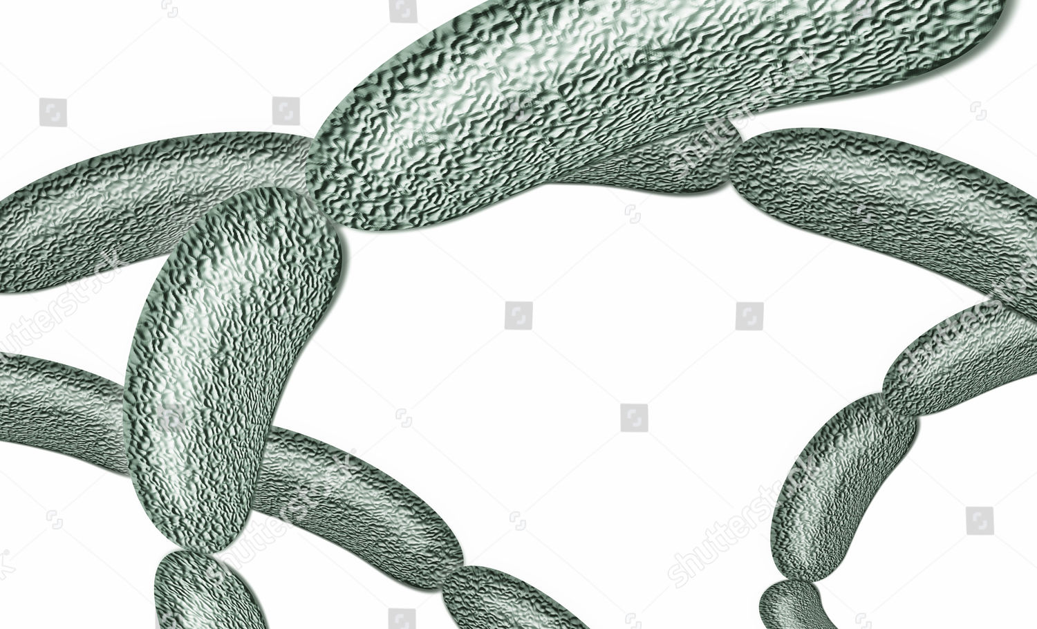 Bacteria Strung Together Illustration Editorial Stock Photo - Stock ...