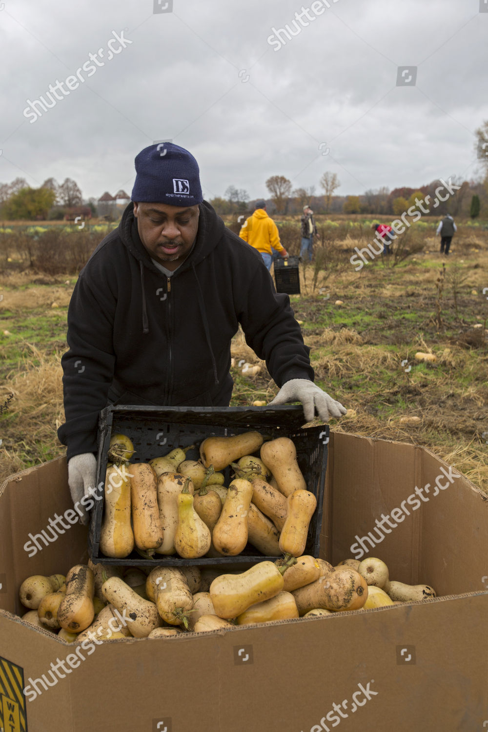 Model Released Don Wilder Helps Volunteers Editorial Stock Photo ...