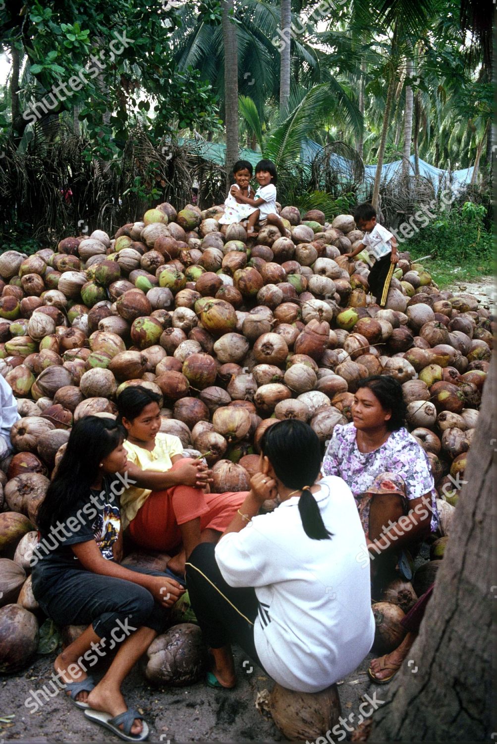 Coconut Processing Plant Koh Samui Editorial Stock Photo - Stock Image ...