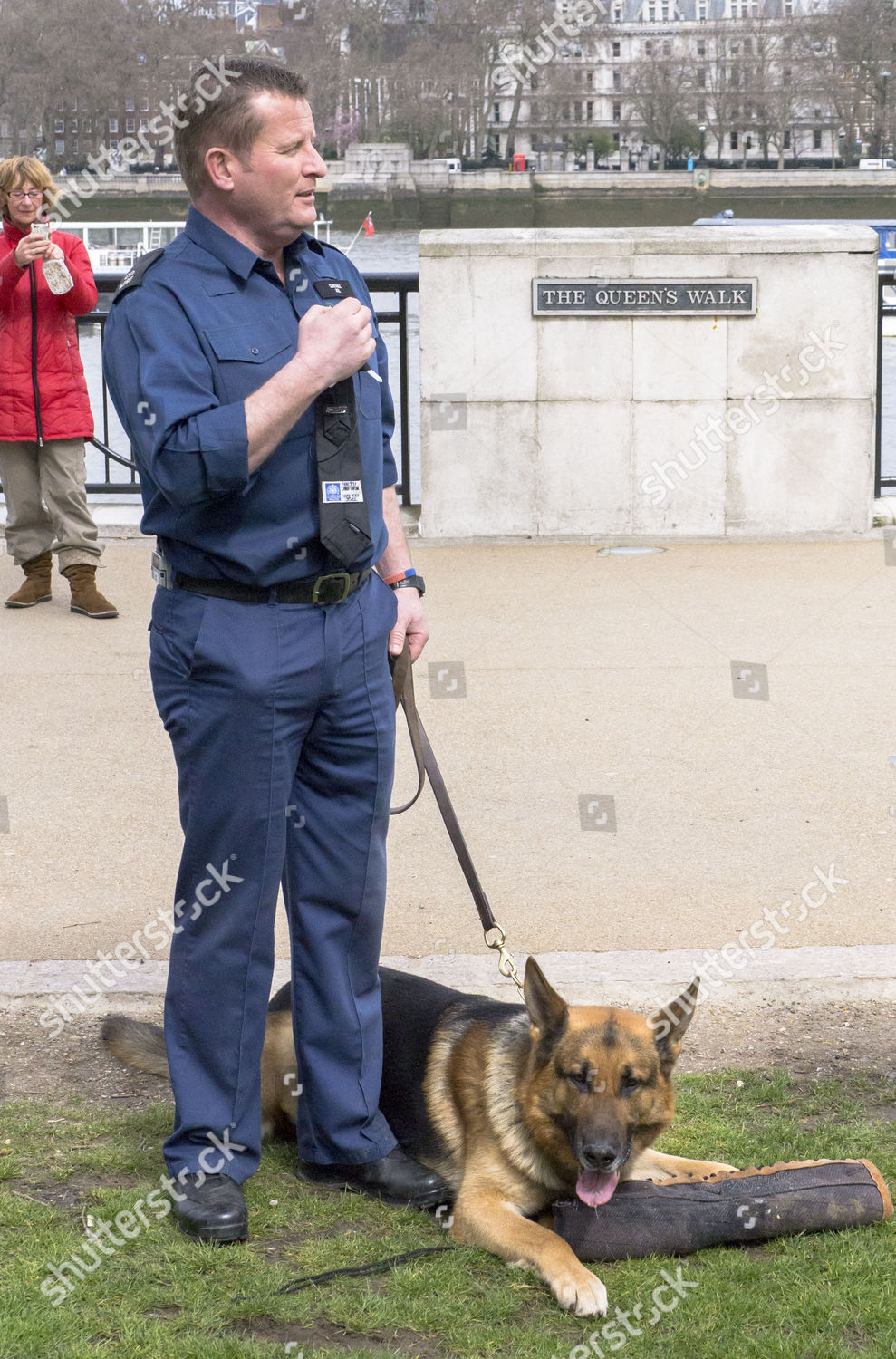 Andy Jones Dog Support Unit Elvis Editorial Stock Photo - Stock Image ...