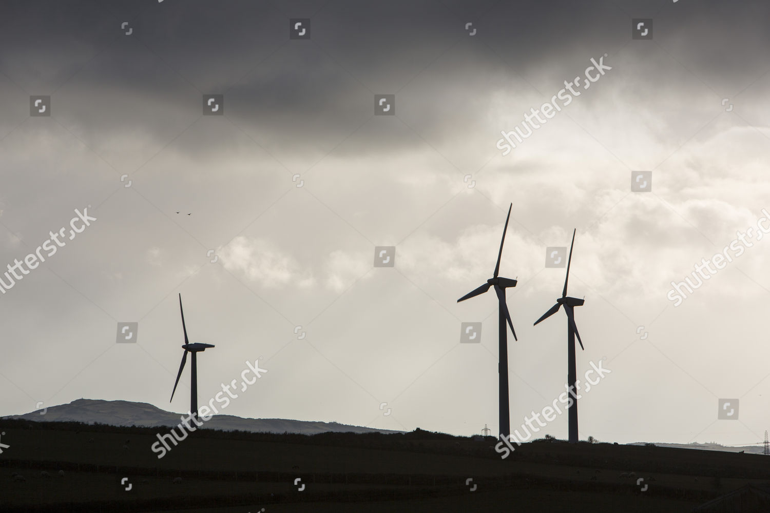 Wind Turbines Wind Famr Near Amlwych Editorial Stock Photo - Stock ...