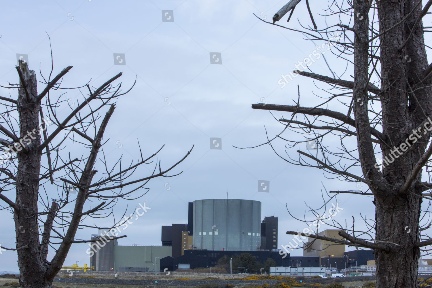 Wylfa Nuclear Power Station On Anglesey Editorial Stock Photo - Stock ...