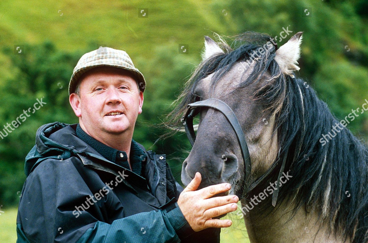 Charlie Pirie Horse Editorial Stock Photo - Stock Image | Shutterstock