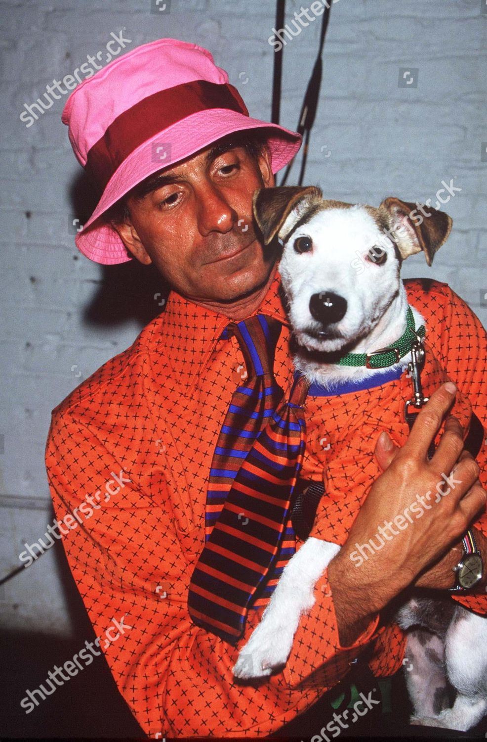 Robert Rufino Arnold Jack Russell Modelling Editorial Stock Photo ...