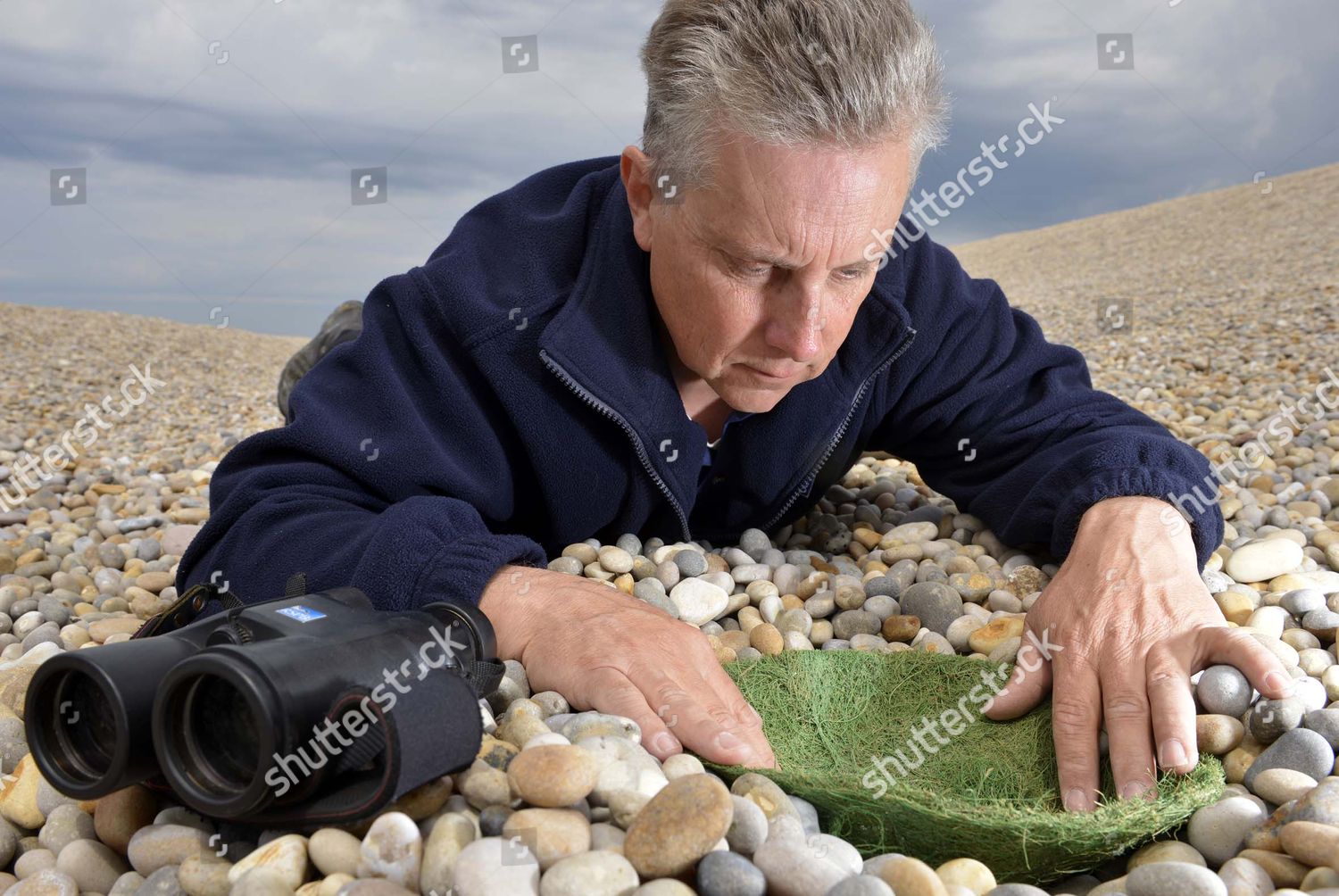 Rspbs John Dadds Insulates Nest Editorial Stock Photo - Stock Image ...