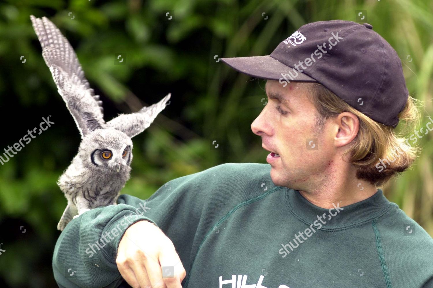 MARK RUBERY BABY OWL NEWEST ARRIVAL Redaktionelles Stockfoto ...