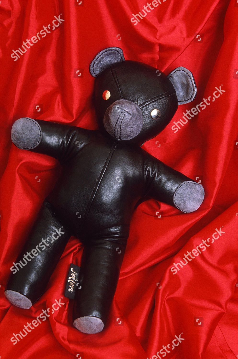 Leather Teddy Bear Editorial Stock Photo - Stock Image | Shutterstock