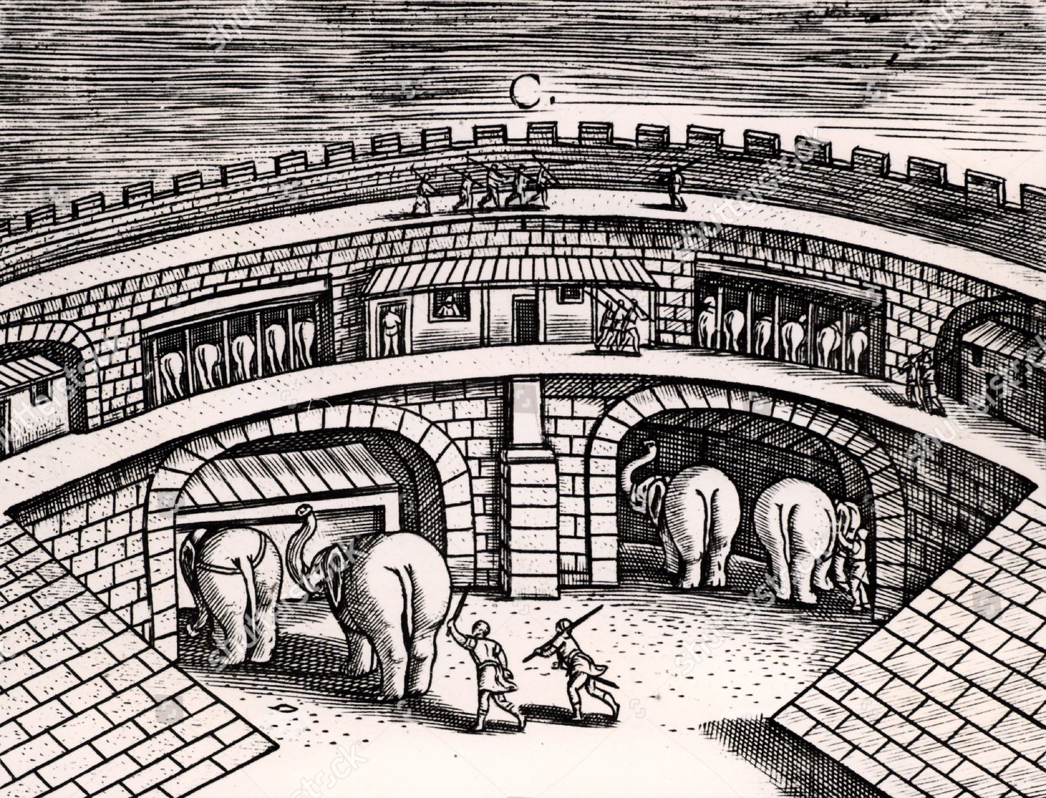 Roman Army Stables Elephants Ground Level Editorial Stock Photo - Stock ...