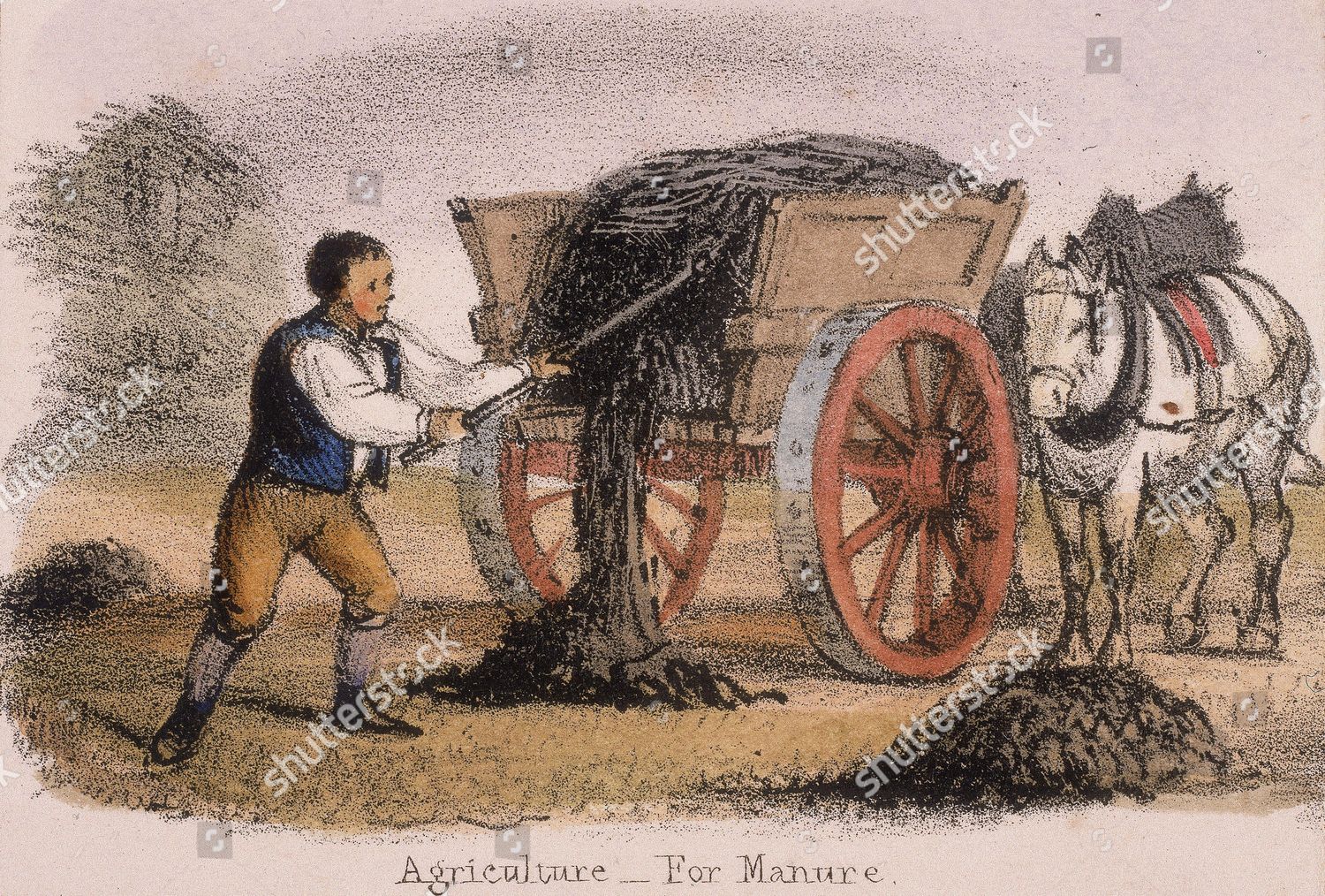 Manure Cart Graphic Illustrations Animals Their Editorial Stock Photo ...