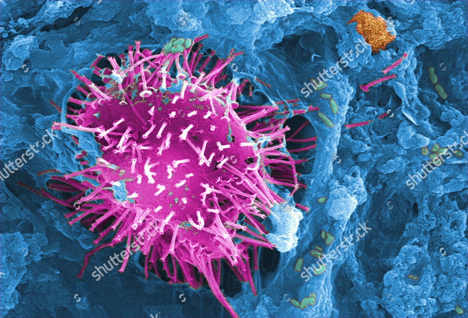 Water Analysis Sem Editorial Stock Photo Stock Image Shutterstock water-analysis-sem-editorial-stock-photo-stock-image-shutterstock