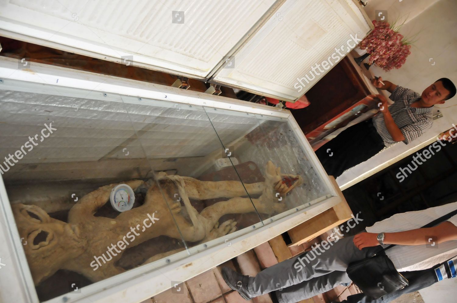 Alien Body Mr Lis Freezer Editorial Stock Photo - Stock Image ...