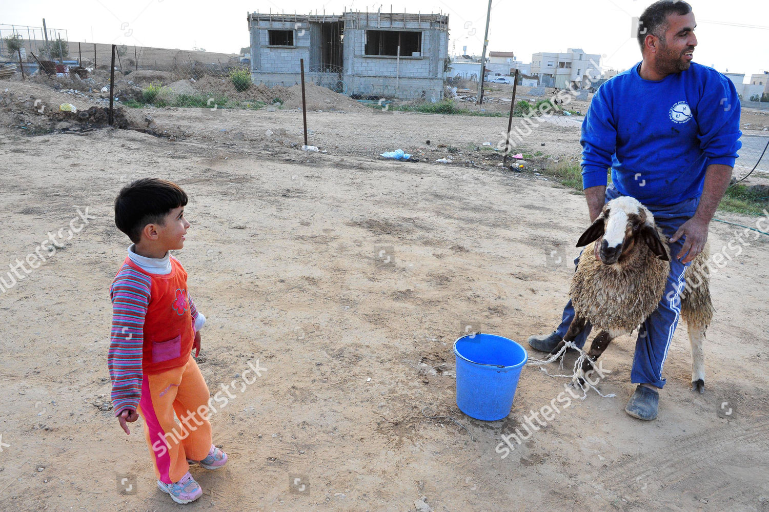 Muslims Prepare Slaughter Lamb On Eid Editorial Stock Photo - Stock ...