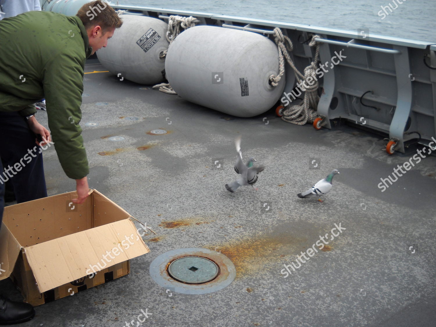 Gregory Cecil Pigeons Released Hms Diamond Editorial Stock Photo ...