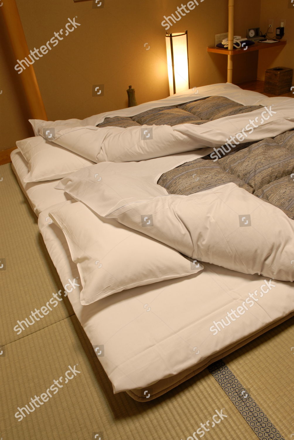 Ryokan Shigetsu Tokyo Japan Editorial Stock Photo - Stock Image ...