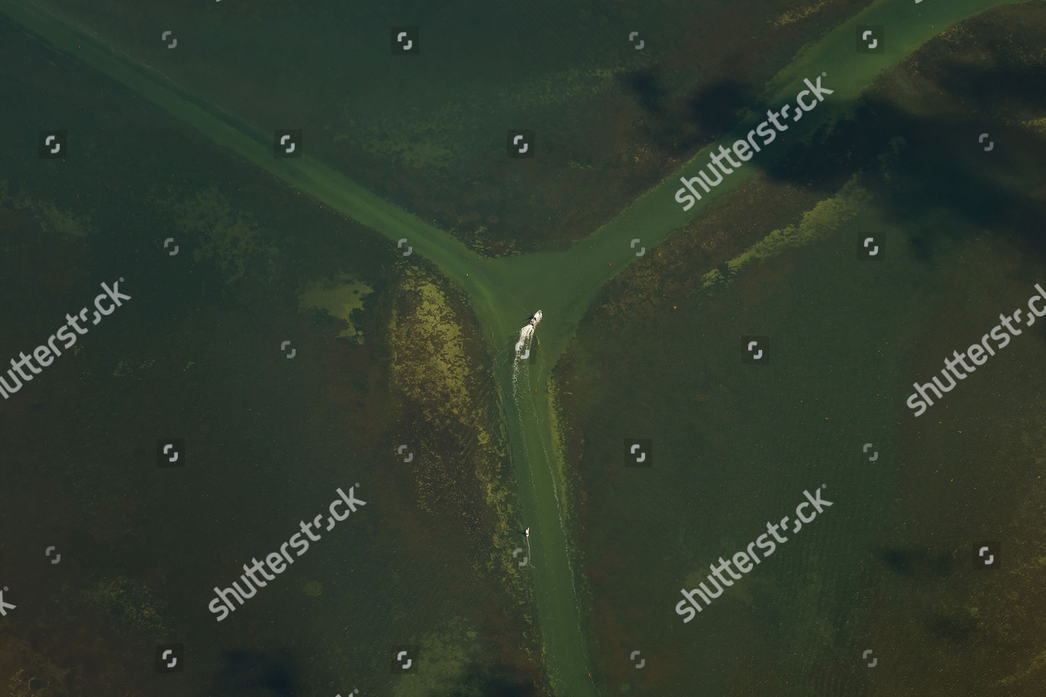 Fork Channel Schaprode Hiddensee Ferry Hiddensee Editorial Stock Photo ...