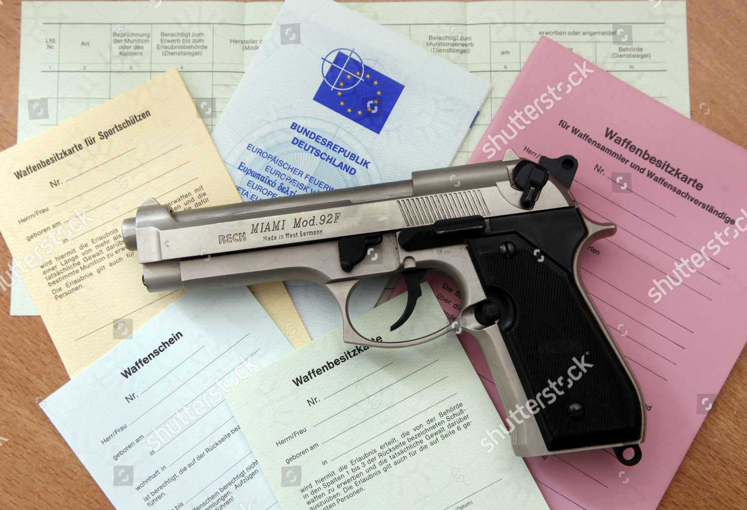 Firearm Automatic Gun Different Types Firearms Editorial Stock Photo ...