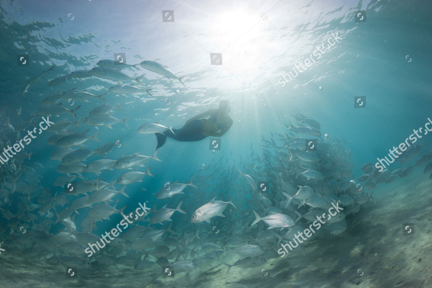 Model Released Woman Snorkling Dressed Mermaid Editorial Stock Photo ...