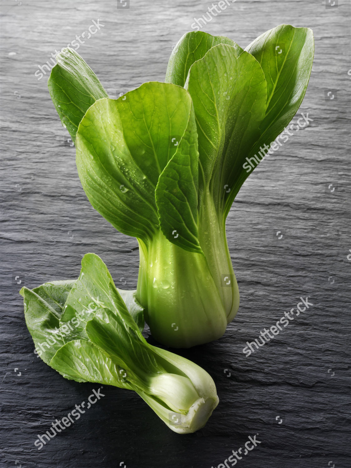 Fresh Pak Choi Leaves Editorial Stock Photo - Stock Image | Shutterstock